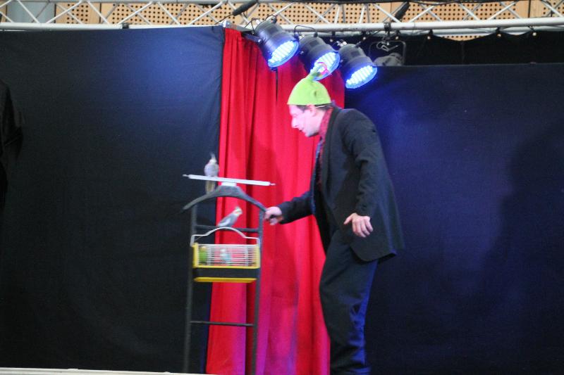 Spectacle magie Belgique - Clown Hainaut - Magicien Wallonie